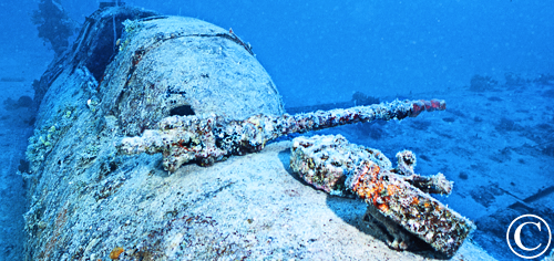 WWII IJN B6N2 Jill Torpedo Plane