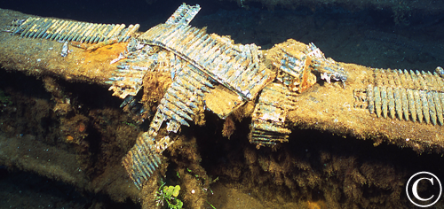Truk Lagoon Wreck WWII Japanes Machine Gun Ammunition